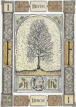 Celtic Tree Calendar ~ November, the Birch Tree