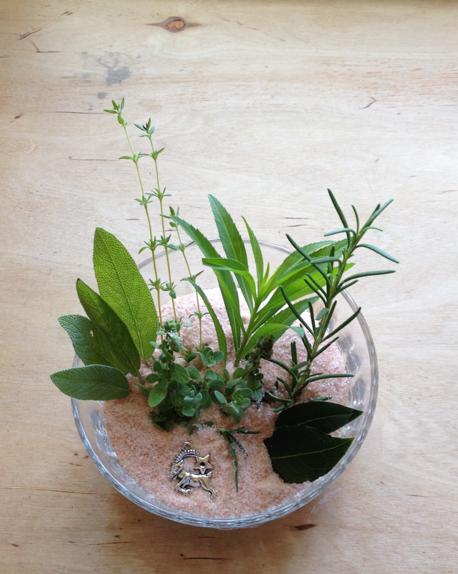 Capricorn Blessing Salt