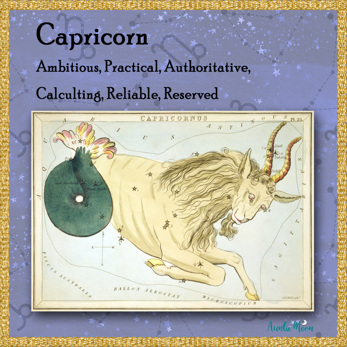 Capricorn – Auntie Moon